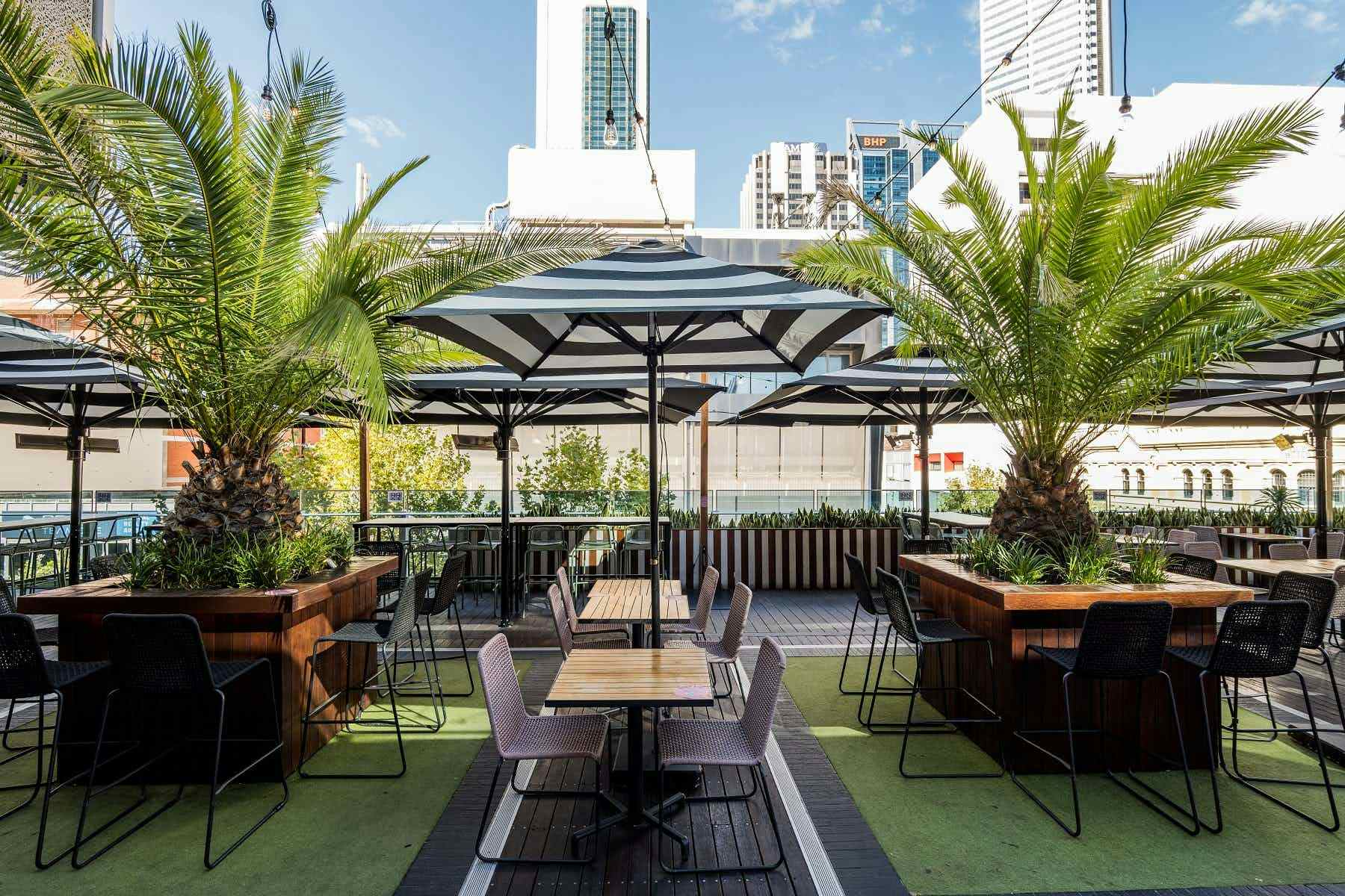 Hire Palms, The Aviary Perth • HeadBox